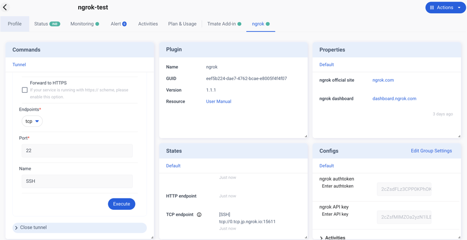 How to Use ngrok Plugin