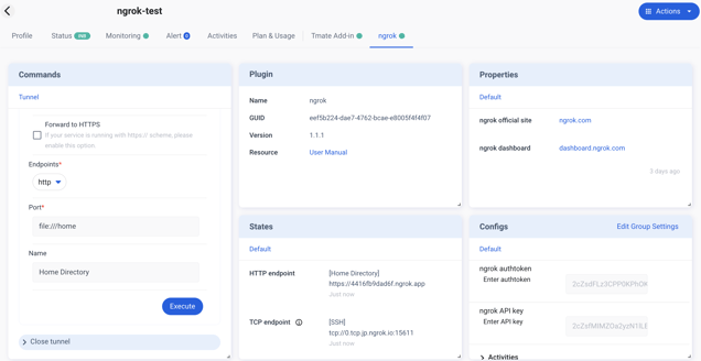 How to Use ngrok Plugin