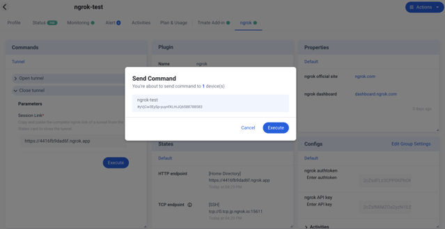 How to Use ngrok Plugin