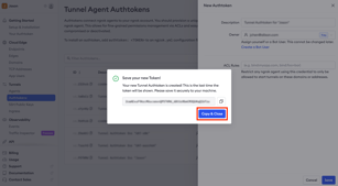 How to Use ngrok Plugin
