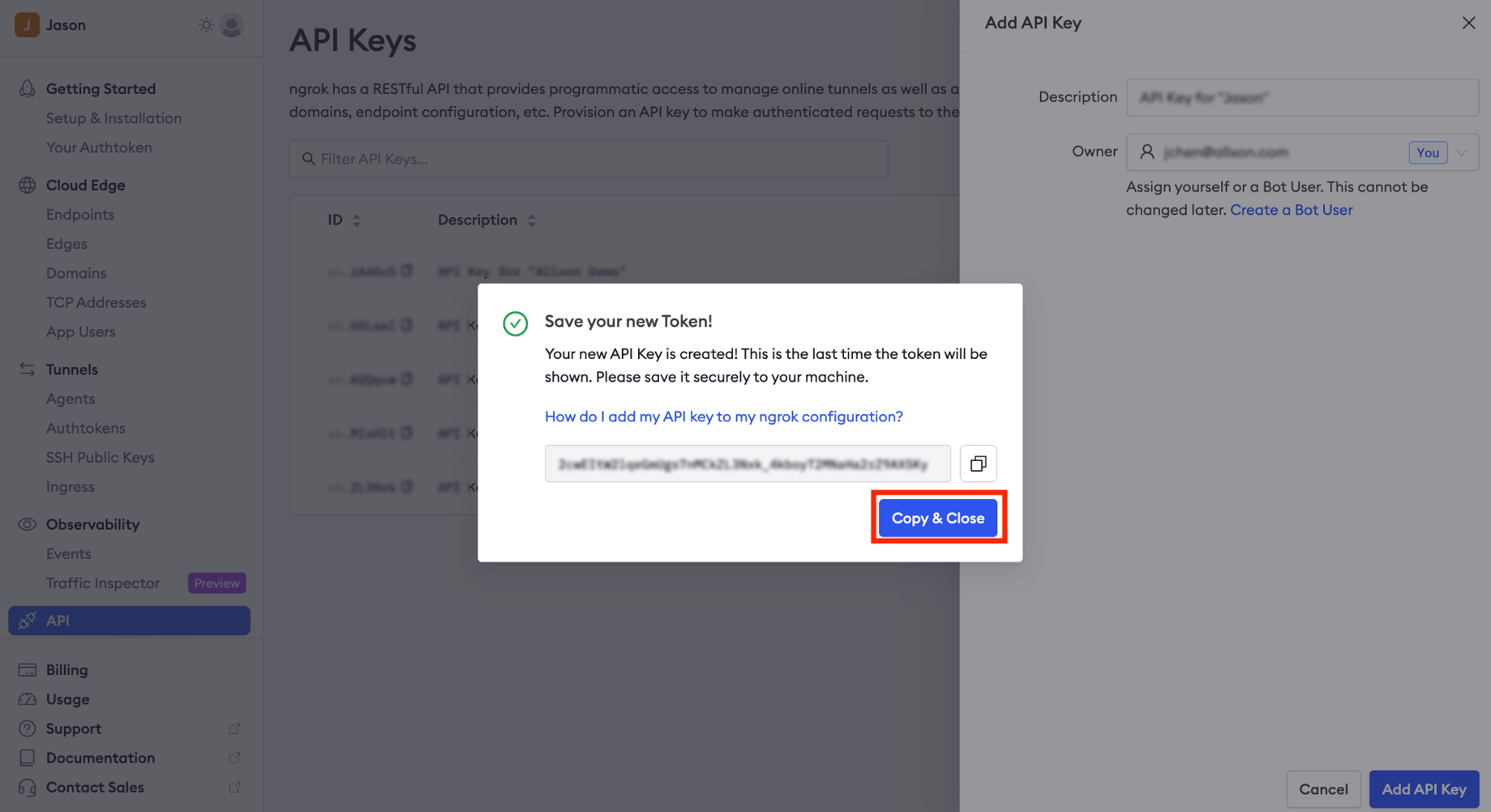 How to Use ngrok Plugin