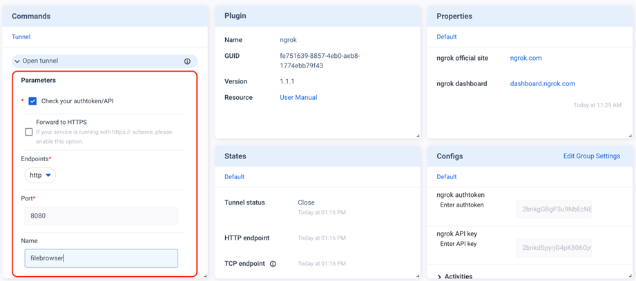How to Create a Web-based File Browser with ngrok Plugin?