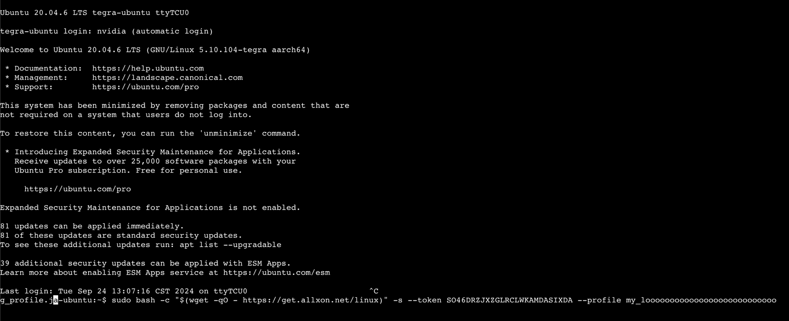 How to fix overlapping input in the Cloud Serial Console?