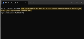 How to Use Upterm Add-In Plugin